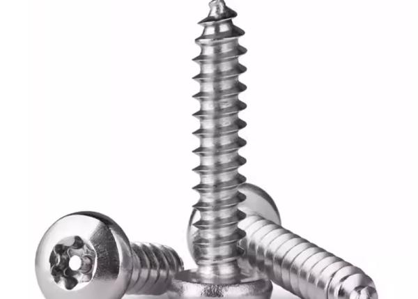 Quality Stainless Steel ANSI INNOX SUS 304 Hexalobular Hex Socket Torx Pan Head Tapping for sale