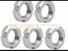 M1.6 M2 M4 M5 18-8 aço inoxidável com ranhuras e porca de castelo SS304 redondo liso polido