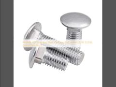 M6 M8 M10 Parafusos de transporte de aço inoxidável SS304 SS316 SS316L DIN603 ISO8677
