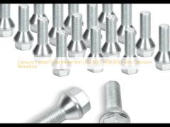 Rodas de aço carbono de titânio para parafusos LUG BOLT HUB BOLT com resistência à corrosão