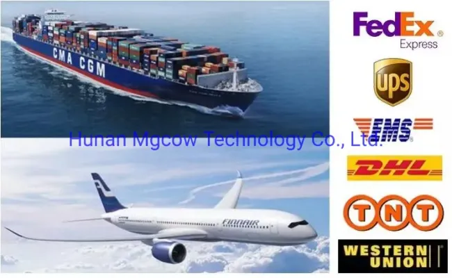 Our manufacturing facility