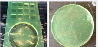 China Two Component Urethane Rubber for Panel Stone Mold Making with 50 Tons Daily Production and UV Resistant Room Temperature Vulcanization for sale