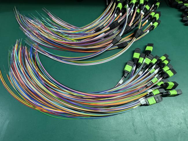 patch cord mpo