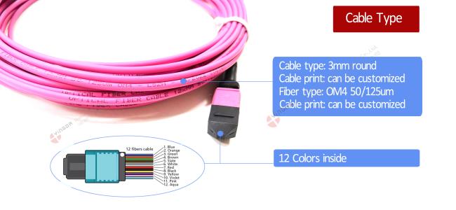 MPO Cable 12Cores OEM print