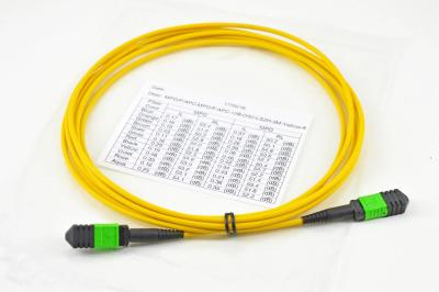 China MPO female to MPO female fiber optic patch cord cable Elite Low IL 12 Fiber B polarity 2M for Fiber Optic Communication System for sale