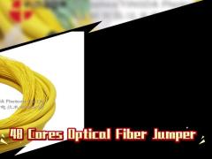 48 Kernen Optische Vezel Jumper Distribution Patch Cord Fanout met LC-APC