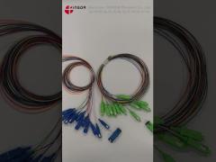 Puntale ceramico ottico delle trecce LSZH 900um MP della fibra dello Sc APC per il contenitore di separatore
