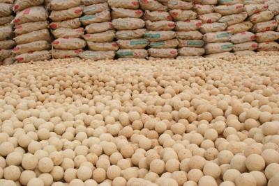 China Refractory balls/Fire-Resistant high alumina refractory Balls for hot blast stove Regenerator for sale