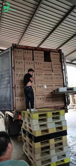 Matériaux producteur et fournisseur du fil o de la Chine
