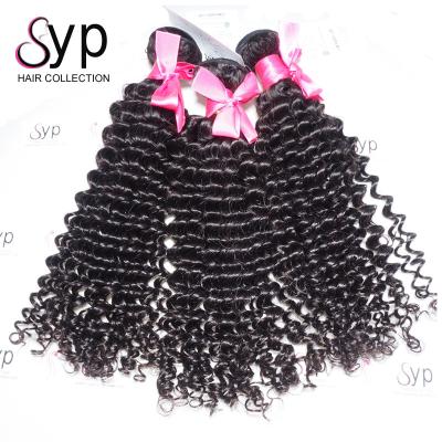 China Virgin Indian Remy Eurasian Curly Weave Human Hair Bundle Extensions Tangle Free for sale