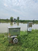 China Automatic Timer Motorized Fish Feeder Feed Loading Machine 45 Packs Per Hour System for sale