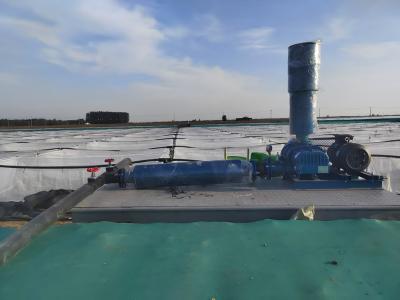 China Oxygen Microporous Aerators Aquaculture Tools 1.5kw For Shrimp Crab Culture for sale
