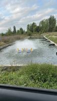 China Aquatic Farm Variable Speed Aerator for sale