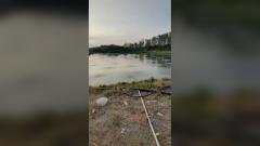 Scene application video of micro-perforated fish, shrimp and crab pond aeration machine