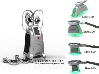 Cina Coolsculpting Cryolipolysis che dimagrisce macchina per la condizione grassa veloce del pavimento di riduzione in vendita