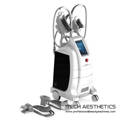 Cina Macchina di congelamento grassa di Cryolipolysis di 4 maniglie di Cryo per il CE di perdita di peso approvato dalla FDA in vendita
