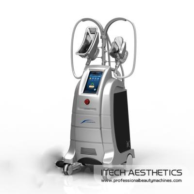 Cina Approvazione Cryolipolysis del CE che dimagrisce macchina per il corpo che scolpisce con 4 Handpieces in vendita