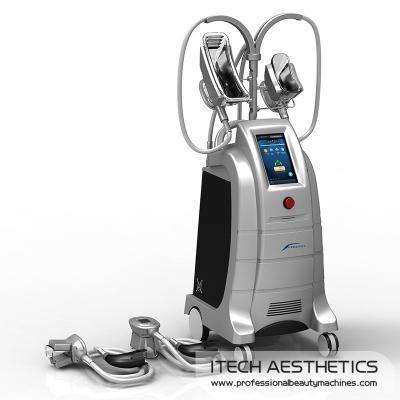 Cina Macchina di congelamento grassa di trattamento di crioterapia, corpo di Cryo che scolpisce macchina per il salone in vendita
