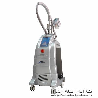 Cina Perdita di peso Cryolipolysis che dimagrisce macchina, macchina grassa di trattamento delle celluliti della gelata in vendita