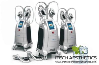 Cina Cryolipolysis non dilagante che dimagrisce l'attrezzatura a macchina di perdita di peso con 4 maniglie in vendita