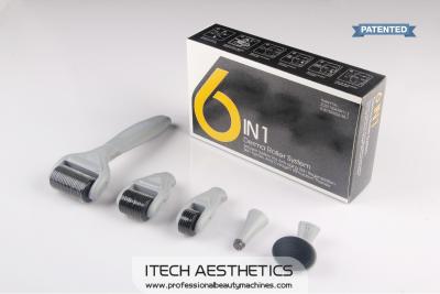 China Skin Care  6 In 1 Microneedle Derma Roller With 1200 / 720 / 300 / 12 Needle for sale