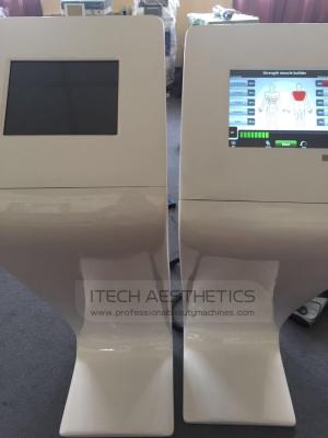 Cina X- Attrezzatura a macchina/addominale del muscolo addominale del corpo SME di esercizio in vendita