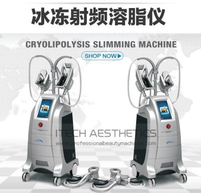 Cina Certificato medico di Cryo di congelamento della macchina dell'attrezzatura grassa professionale di perdita di peso in vendita