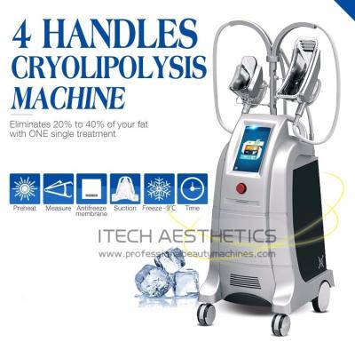 Cina Un vuoto di 800 W/crioterapia di congelamento grassa che dimagrisce le maniglie della macchina due in vendita