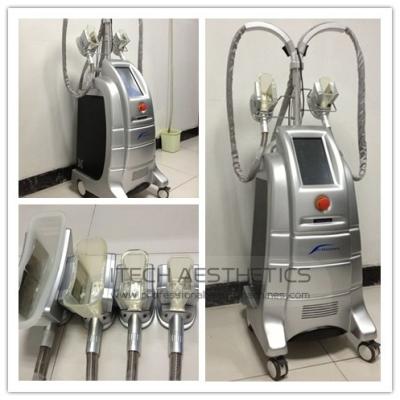 Cina Il congelamento grasso di vibrazione del corpo riduce le macchine Etg50-4s di bellezza di crioterapia in vendita