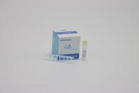 China DNA Testing FluA FluB PCR Detection Kit 1 Step RT PCR Kit 20uL Reaction Volume for sale