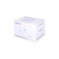 China Viral RNA DNA Extraction Kit 96 Samples Magnetic Bead Method Nucleic Acid Purification System for sale