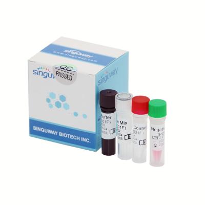 China Quantitative Diagnostic HIV Real Time PCR Kit 40uL For Human Immunodeficiency Virus for sale