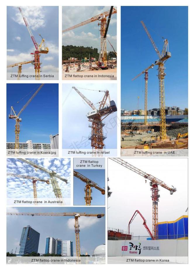 5.ZTM Successful project