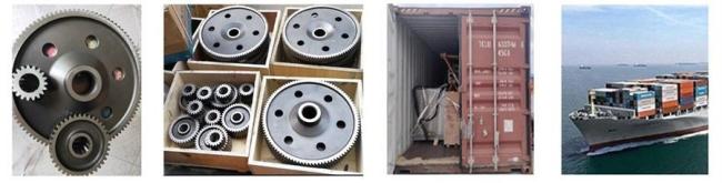 Crane reducer gear