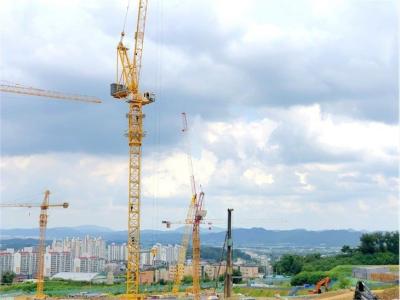 China ZTL146 Luffing Tower Crane 8t Capaciteit 50m Jib Lengte 1,3t Tip Load Lifting Equipment Te koop