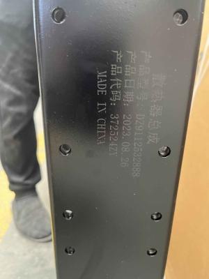 Cina Radiatore DZ9112532888 Shacman Ricambi per autocarri F2000 F3000 in vendita