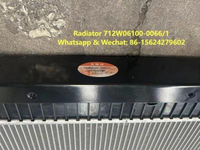 Cina Radiatore 712W06100-0066/1 HOWO Parti di autocarri Motore Radiatore Radiatore di raffreddamento in vendita
