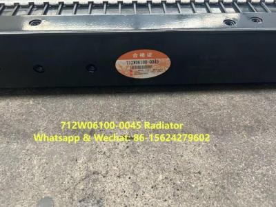 Cina Radiatore 712W06100-0045 HOWO Parti di camion Motore Radiatore Radiatore di raffreddamento in vendita