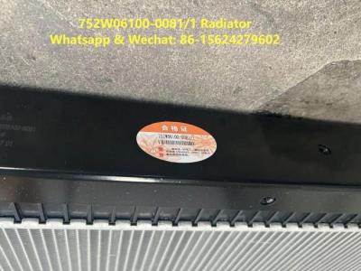 Cina Assemblaggio del radiatore 752W06100-0081/1 HOWO Parti del camion Motore Radiatore Radiatore di raffreddamento in vendita