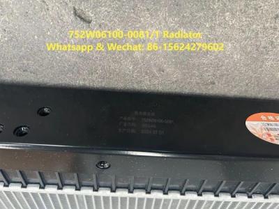 Cina Assemblaggio del radiatore 752W06100-0081/1 HOWO Parti del camion Motore Radiatore Radiatore di raffreddamento in vendita