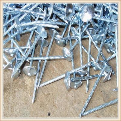 China common nails,2.5' 500mm Common Wire Nails Q195 Q235 Needle Point Smooth Shank Polished for sale