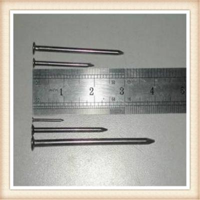 China Common Nail for sale