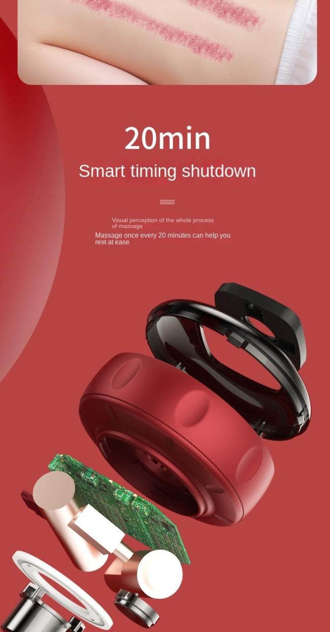 Electric Intelligent Device for Detox and Dampness