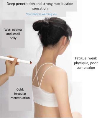 China Instrument Classification Class I Health Conditioning Dehumidifying and Warming Moxa Stick for sale