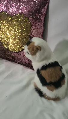 China 2021 New Style High Quality 40*40 cm Customized Party Wedding Pillow Reversible Sequin Pillow Case for sale