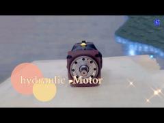 HMF90 Roller Heavy Duty Hydraulic Motor Lifetime Technical Support