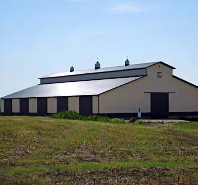 China Large Span Modern Steel Frame Building Industrial Workshop Poultry House for sale