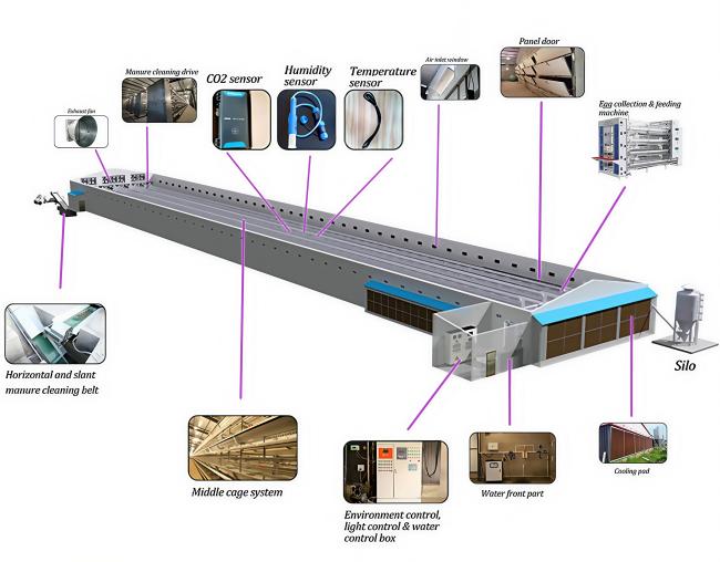 Steel structure warehouse interior showing framework