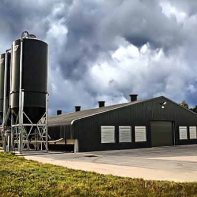 China Galvanized Steel Poultry House Framing Resists Rust In Humid Poultry Environments for sale