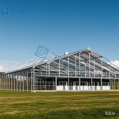 Cina Costruzioni di edifici prefabbricati per stalle leggere Q235B Q355B ASTM A36 in vendita